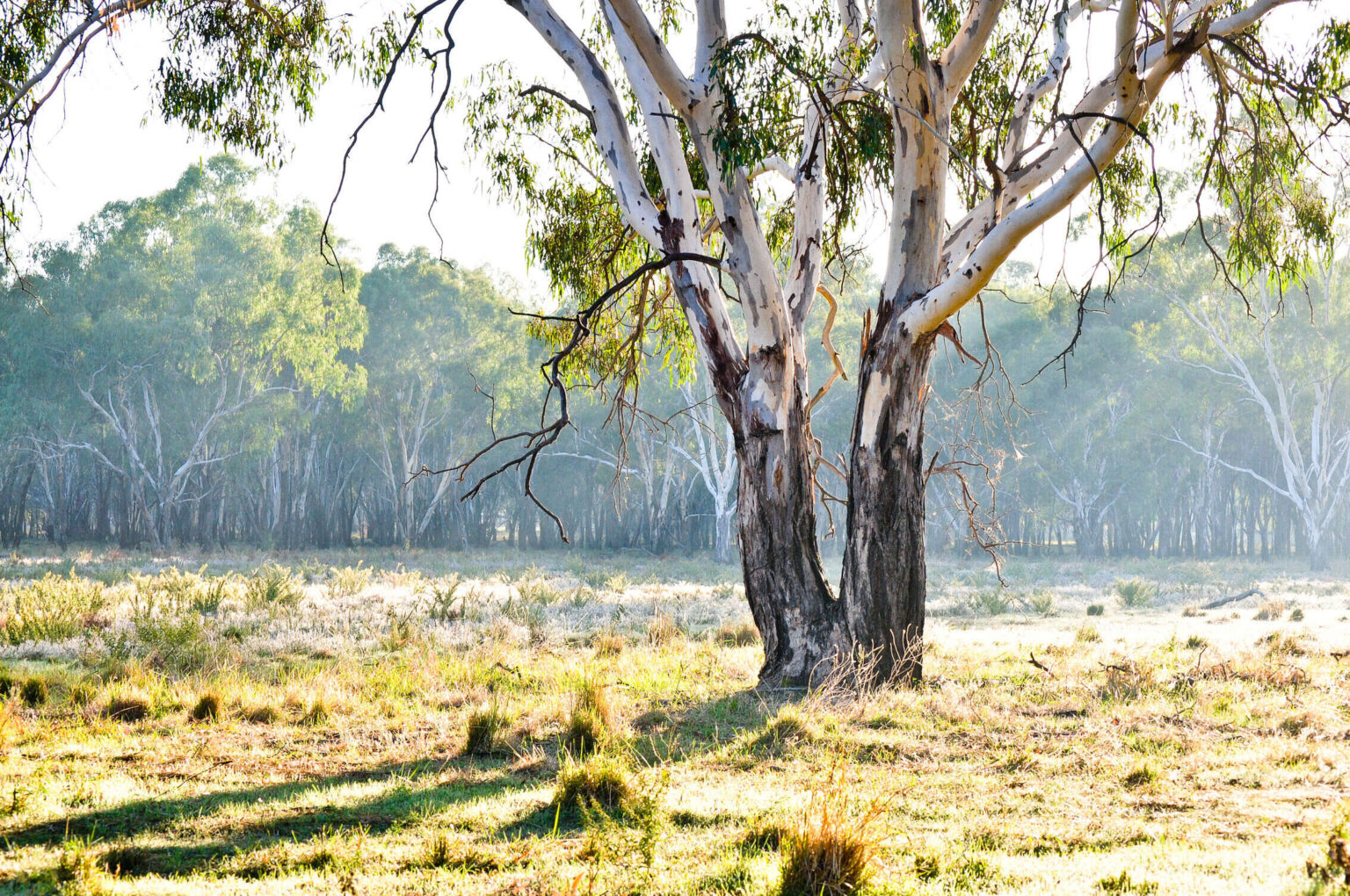 Employer training calendar